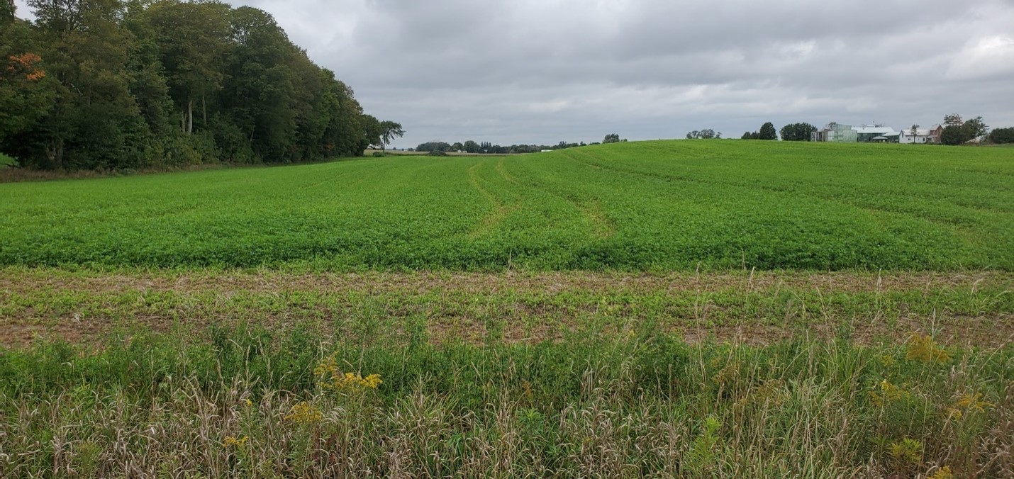 2021 Forage Seasonal Summary – OMAFRA | OSCIA