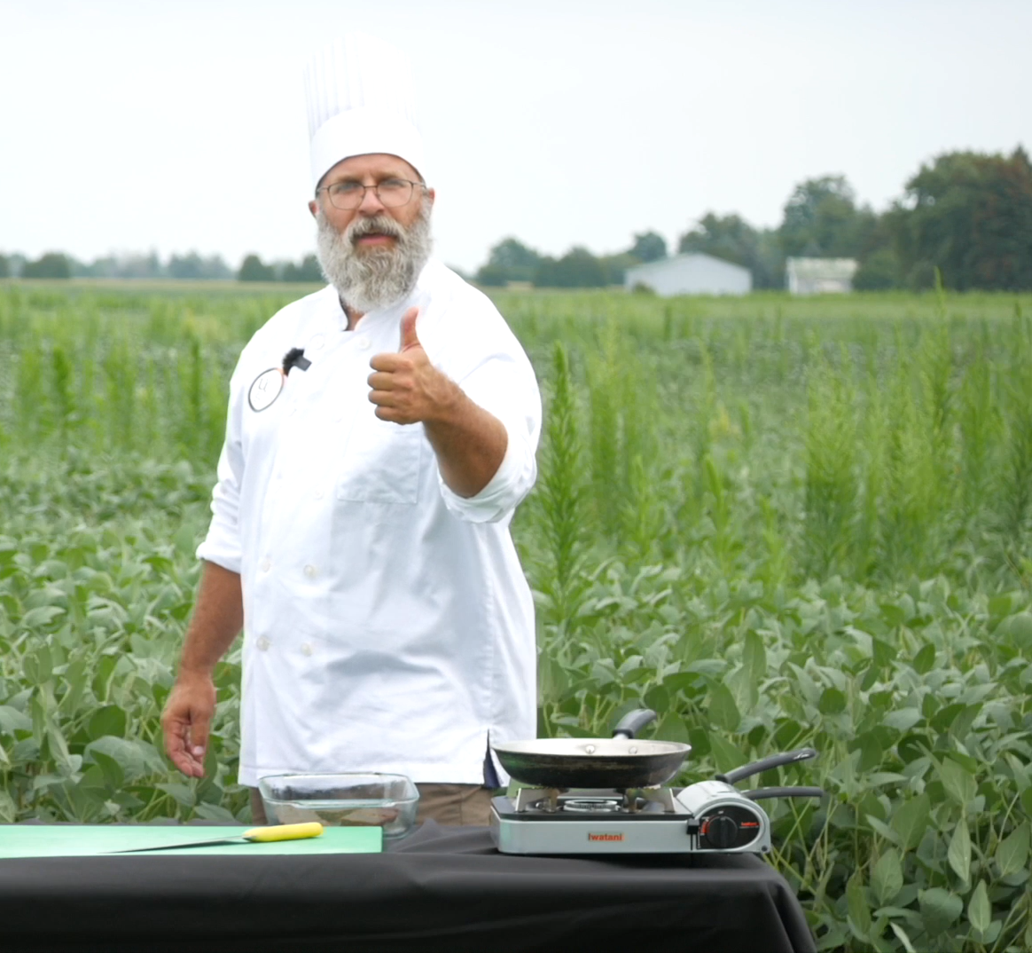 Cooking with Covers – a new miniseries on cover crops | OSCIA