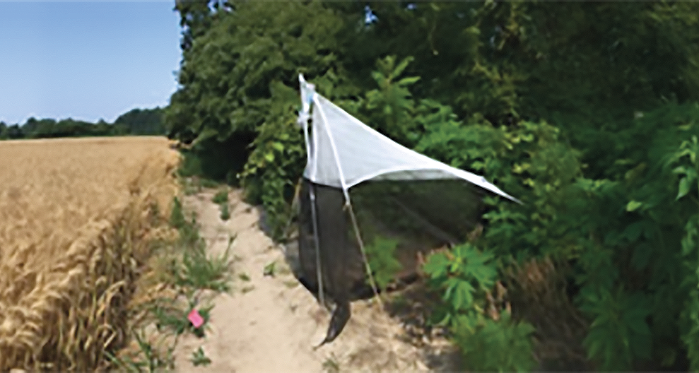 Living Lab-Ontario: Scientists explore healthy habitat for pollinators ...