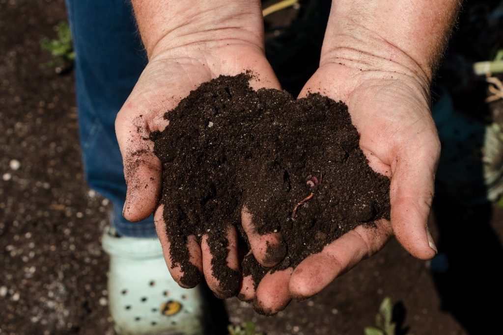 Greenbelt Foundation – new program developing benchmarks to track soil ...