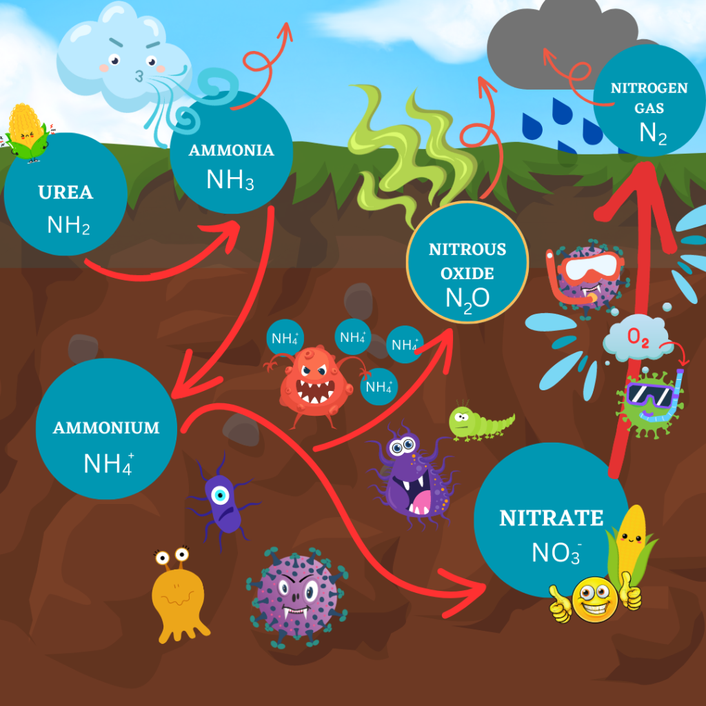 Grey Bruce Farmers Week – a lesson on “Johnson’s Simplified Nitrogen Cycle”