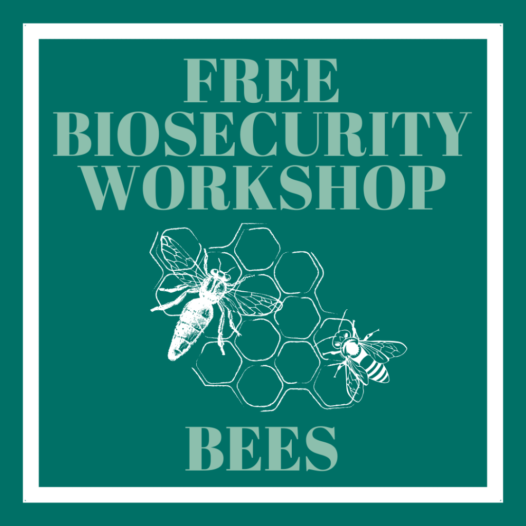 Bee Biosecurity Workshop (Virtual) | OSCIA