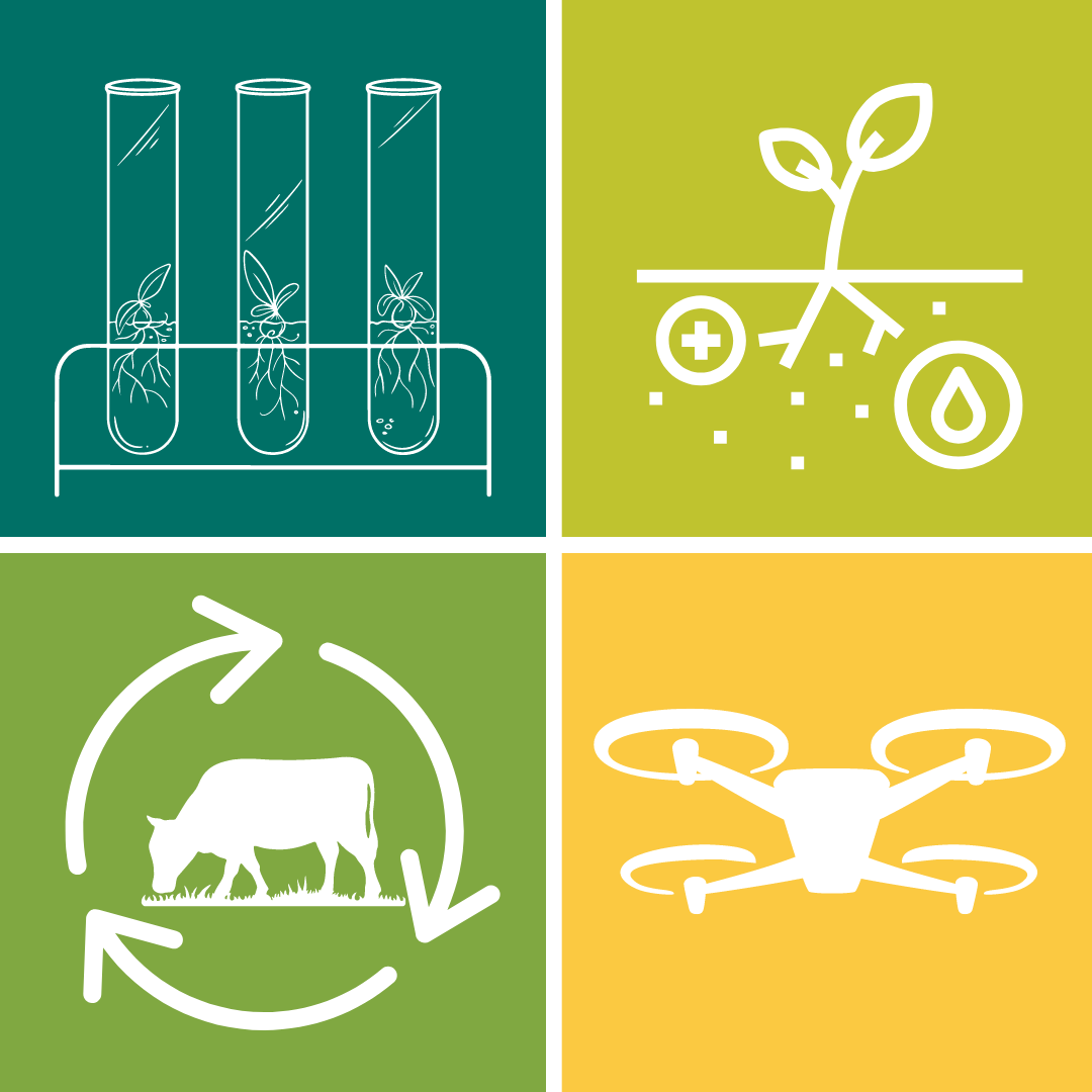 Introducing the 2024 Grassroots Research Grant projects | OSCIA