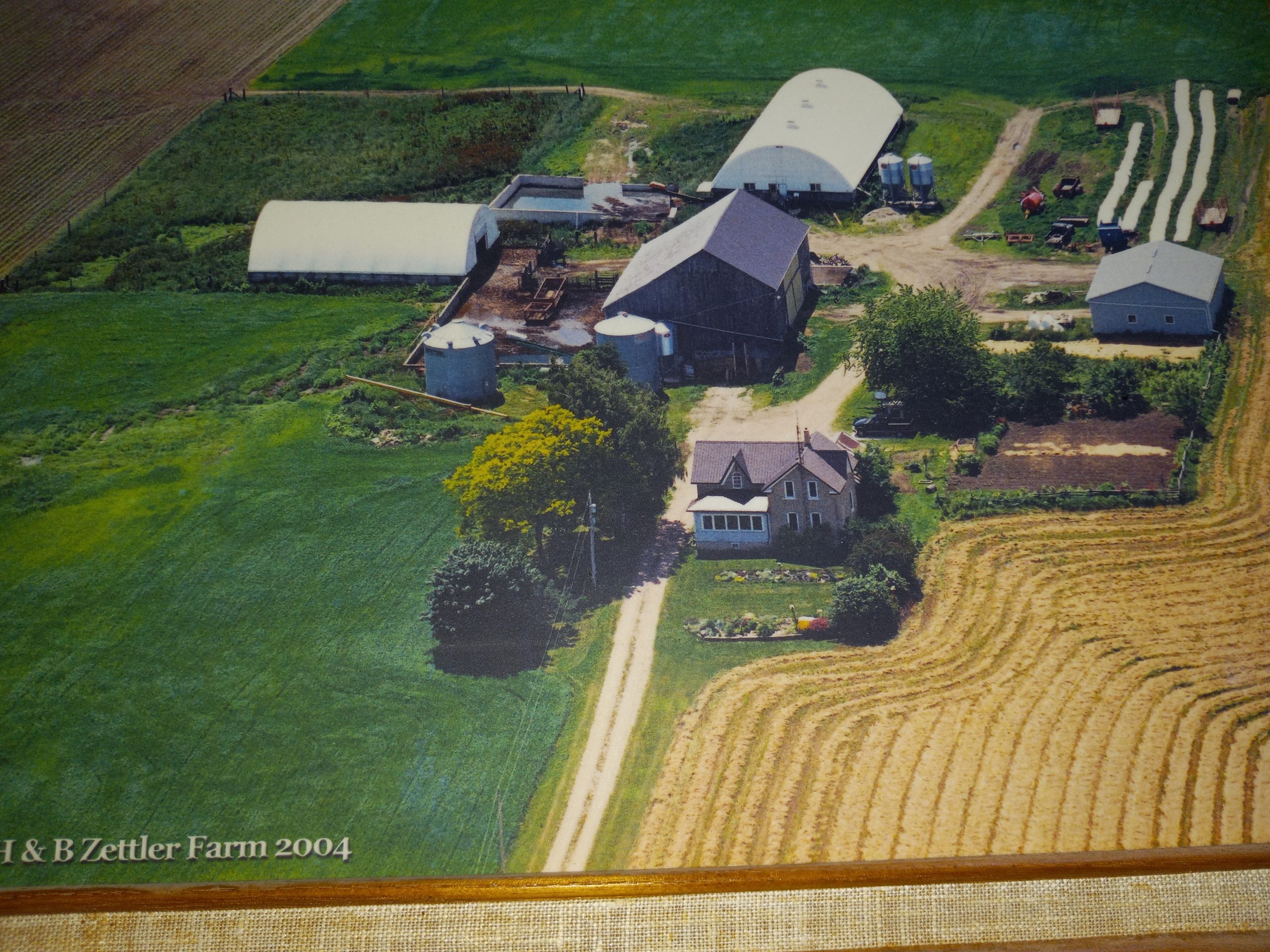 Member Spotlight – Zettler Family Farms | OSCIA