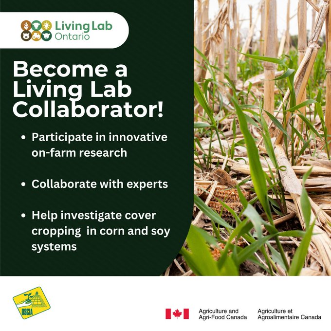 Living Lab – Ontario is Looking for Cover Crop Cooperators (DEADLINE ...