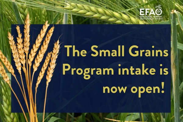 Planning to plant small grains in the spring?