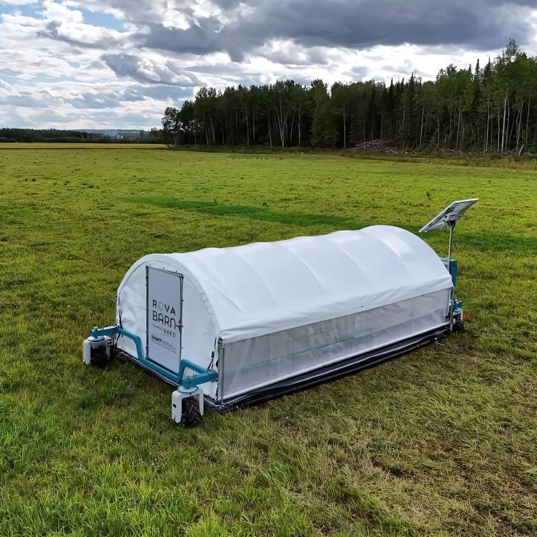 Happy chickens, healthy farms: Rotational grazing for poultry | OSCIA