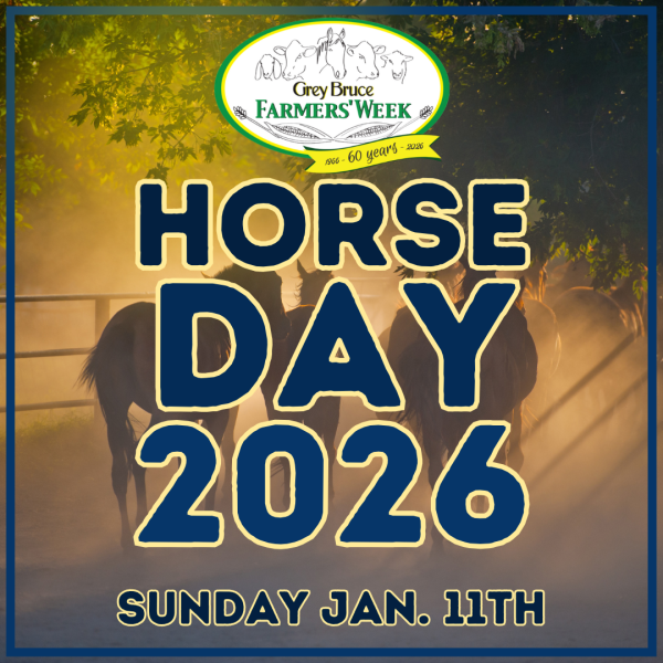 Horse Day – Grey Bruce Farmer’s Week